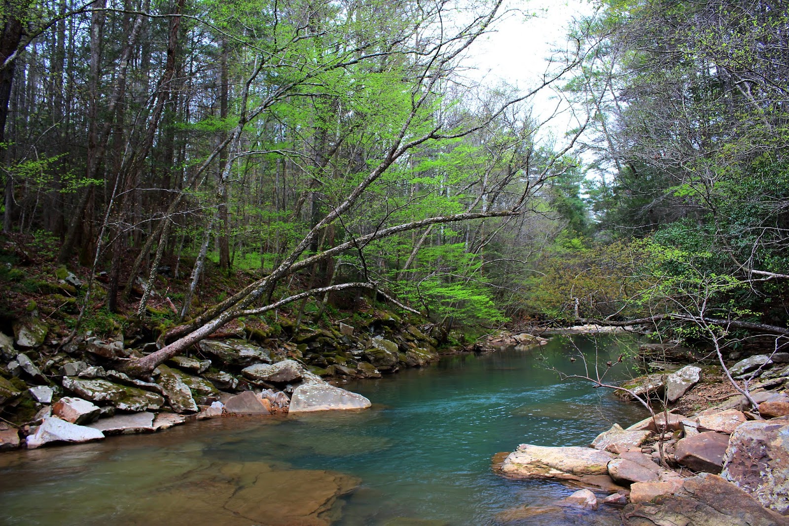 Cumberland Gal: Gobey Exploring in Spring