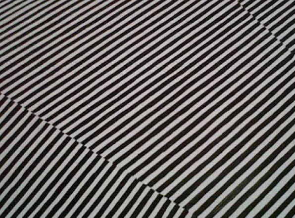 NIRMANA DWIMATRA beserta contohnya