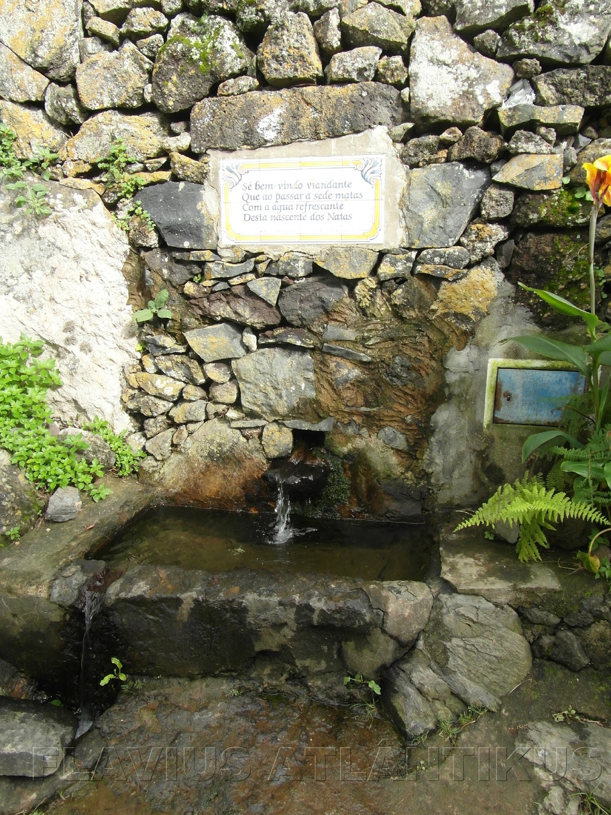 FLAVIUS ATLANTIKUS: Rocha da Relva - S. Miguel Island - Azores - Portugal