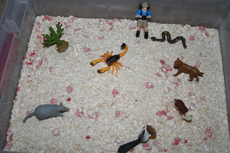 Learning At Play: Busy Boxes