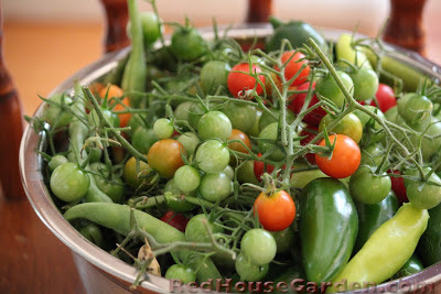 Red House Garden: October 2012