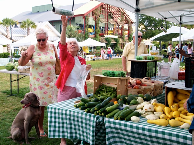 kiawahandseabrookrentalsandsales: Freshfield's Village Farmer's Market ...