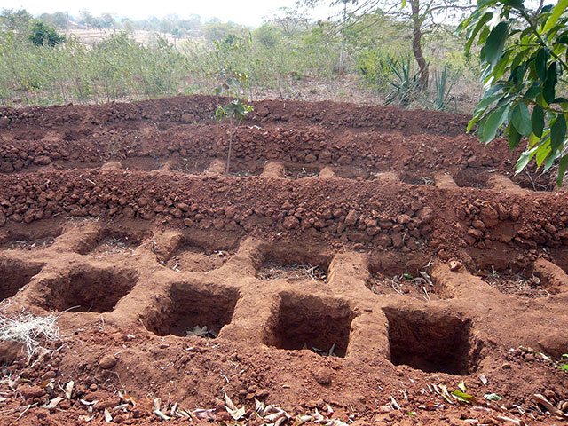 ANDREW NYAMU ONLINE RESOURCE CENTRE : FARMERS EMBRACE ZYPIT AGRO ...