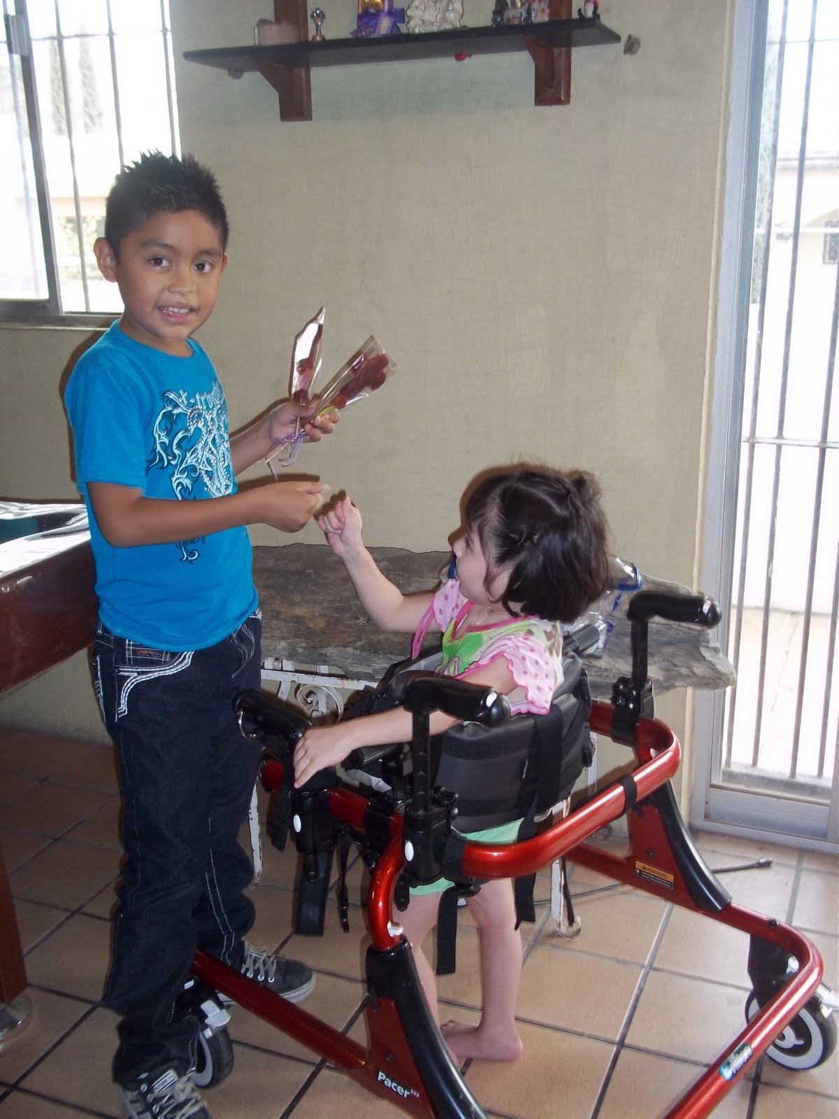 Atención Educativa de Alumnos con Discapacidad Motriz.