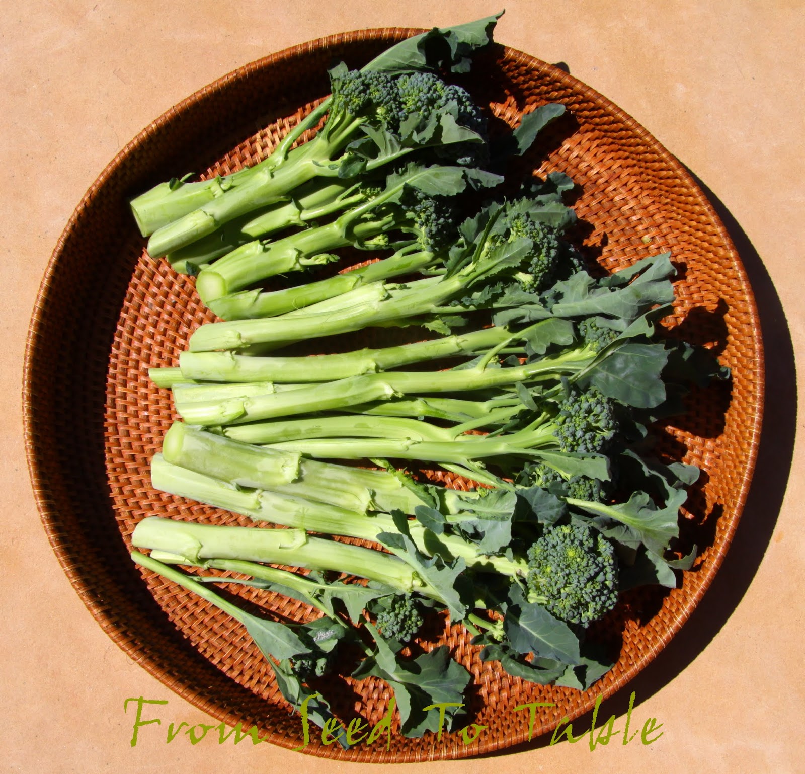 From Seed To Table: Harvest Monday - September 8, 2014