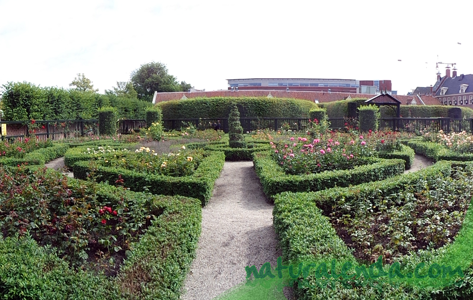La naturaleza en casa: Prinsentuin Groningen