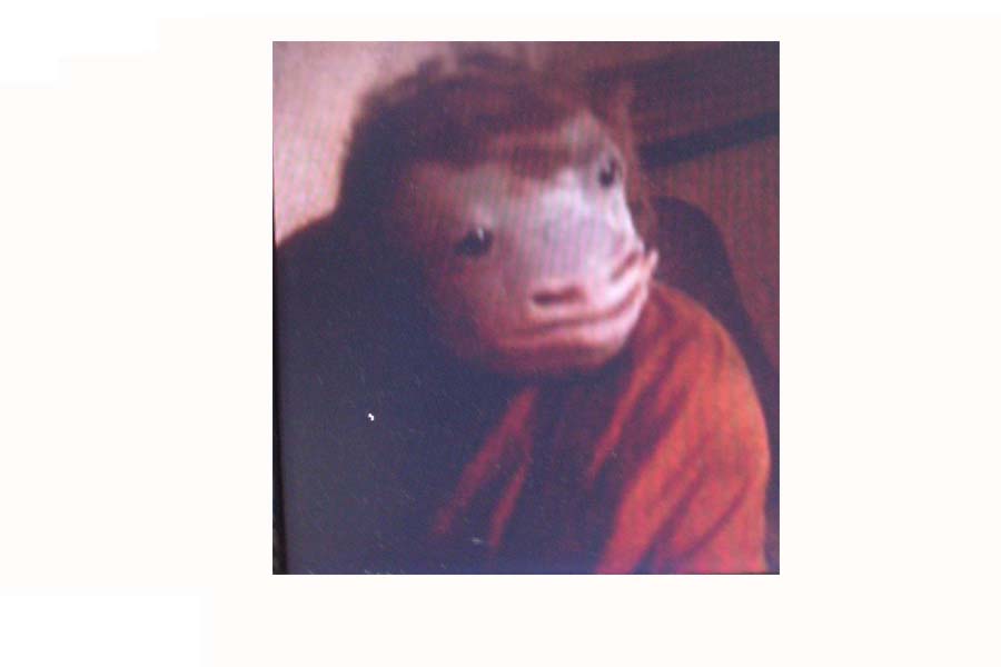 STAR WARS VISUAL ENCYCLOPEDIA