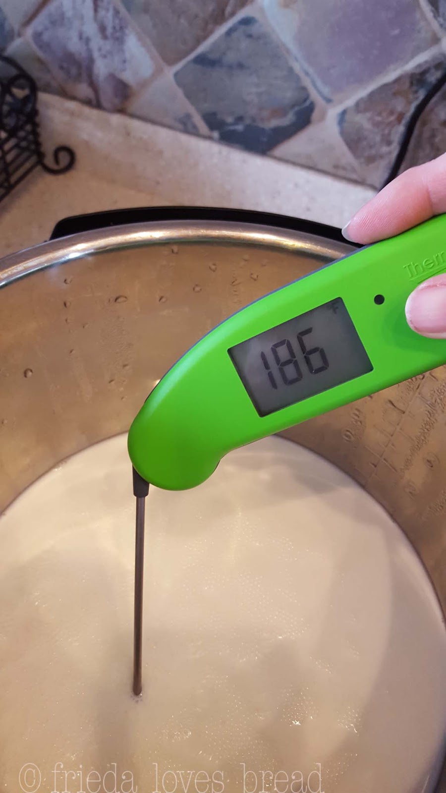 Frieda Loves Bread: Creamy No Strain Chocolate Yogurt - Yoplait Whips ...