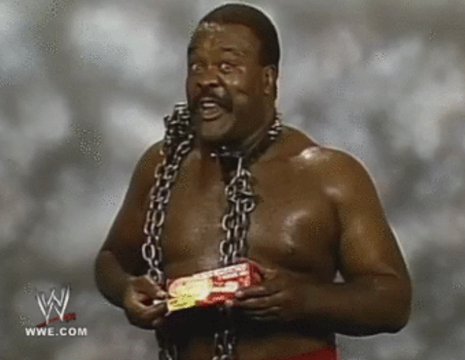 My 1-2-3 Cents : Remembering Junkyard Dog
