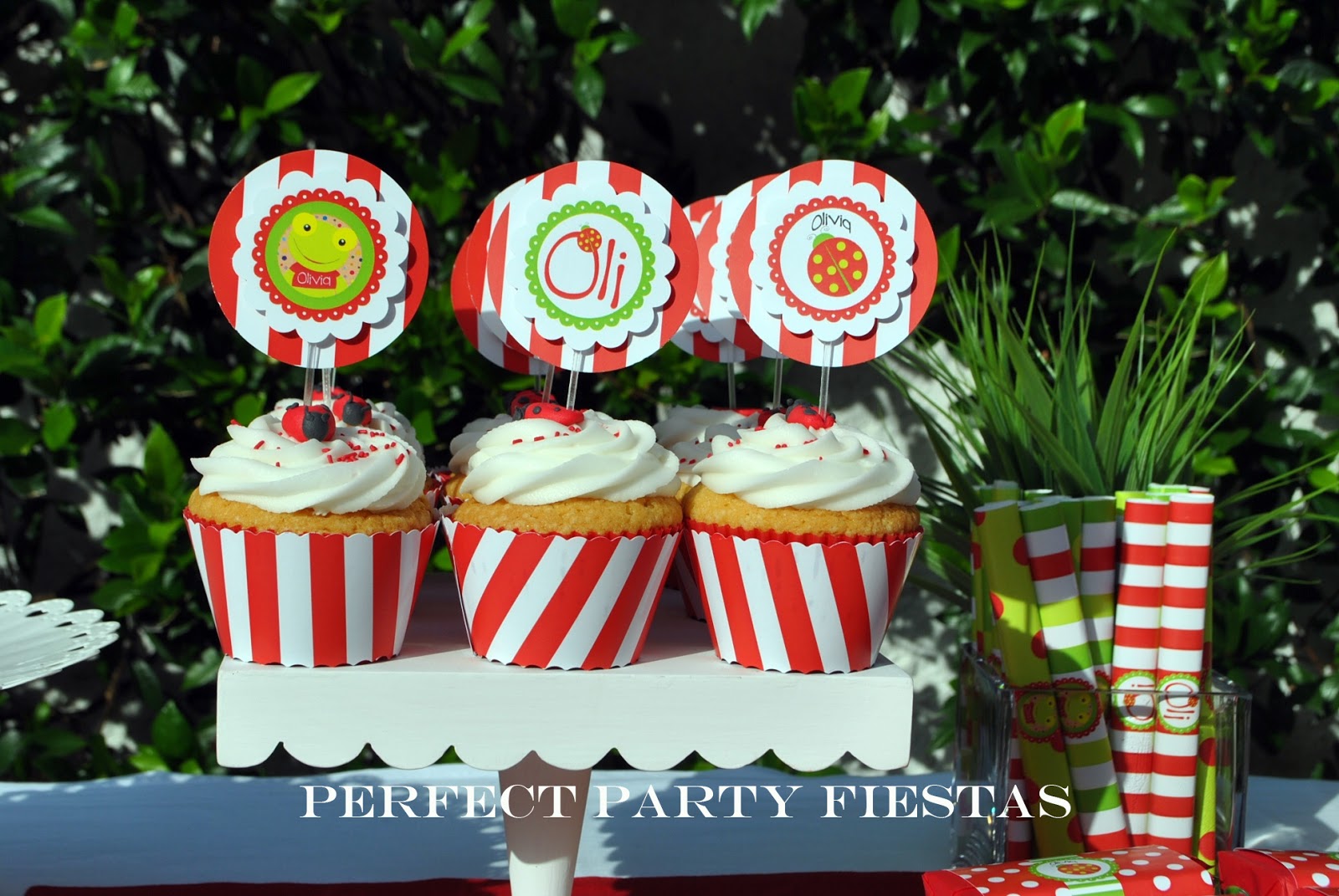 Perfect Party: Fiesta temática del Sapo Pepe - Garden Party