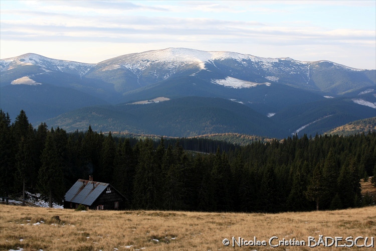 Itinerarii montane și argumentaţii cotidiene : Muntii Lotrului: in ...