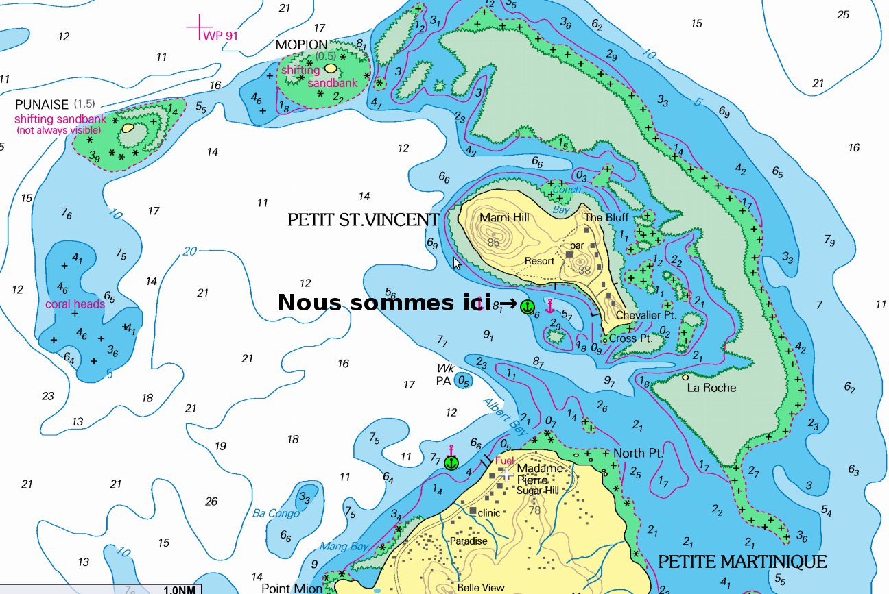 Îlot Morpion, PSV, Les Grenadines | La Jeannoise