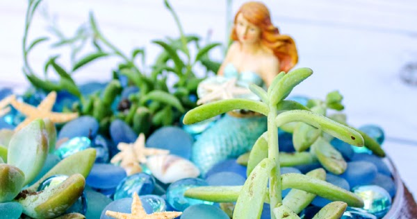 How to Make an Under Water Inspired Mermaid Garden with Succulents ...