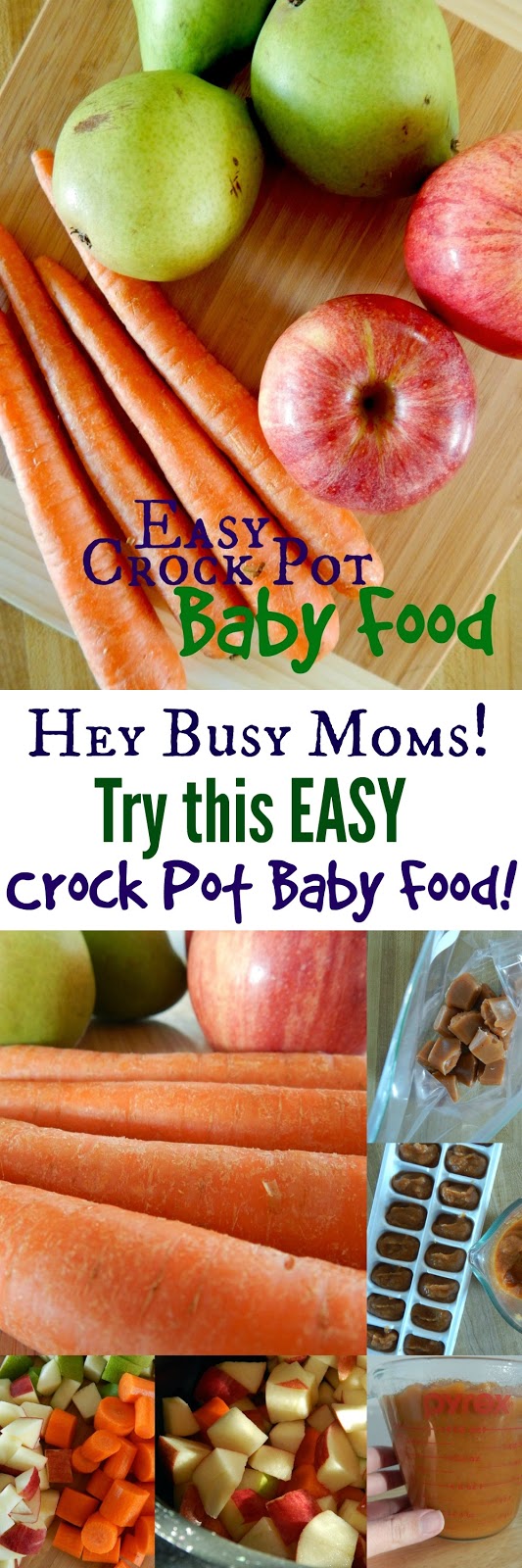 Easy Crock Pot Baby Food | Ally's Sweet & Savory Eats