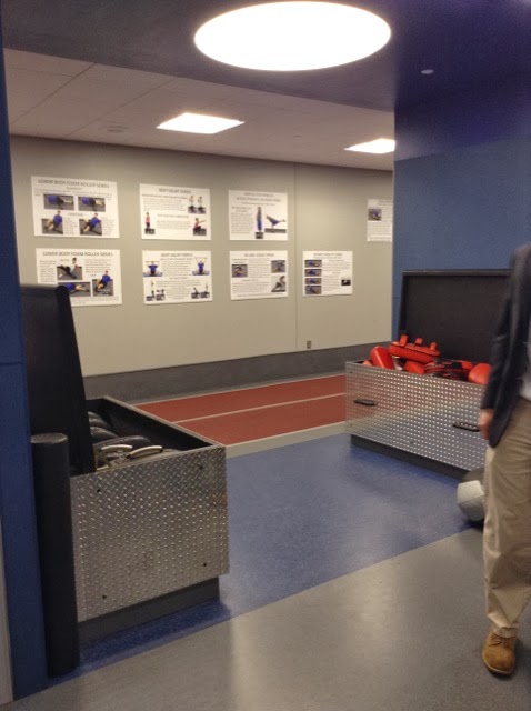 Biology, Physiology, and Psychology of Athletic Performance