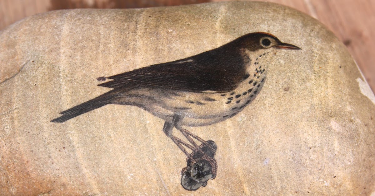 The CrafsMan - Steady Craftin: How to print on STONE! (Stone Photo ...