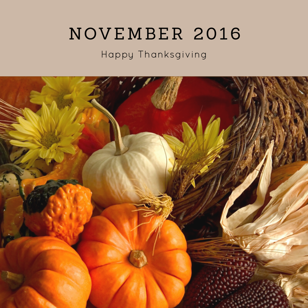 A Day in My Life, My 365 Days: November National Days and Observances