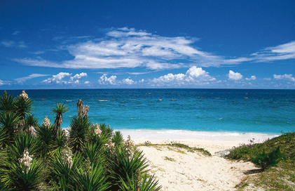 Bermuda Island - Travel Guide and Travel Info - Exotic Travel Destination