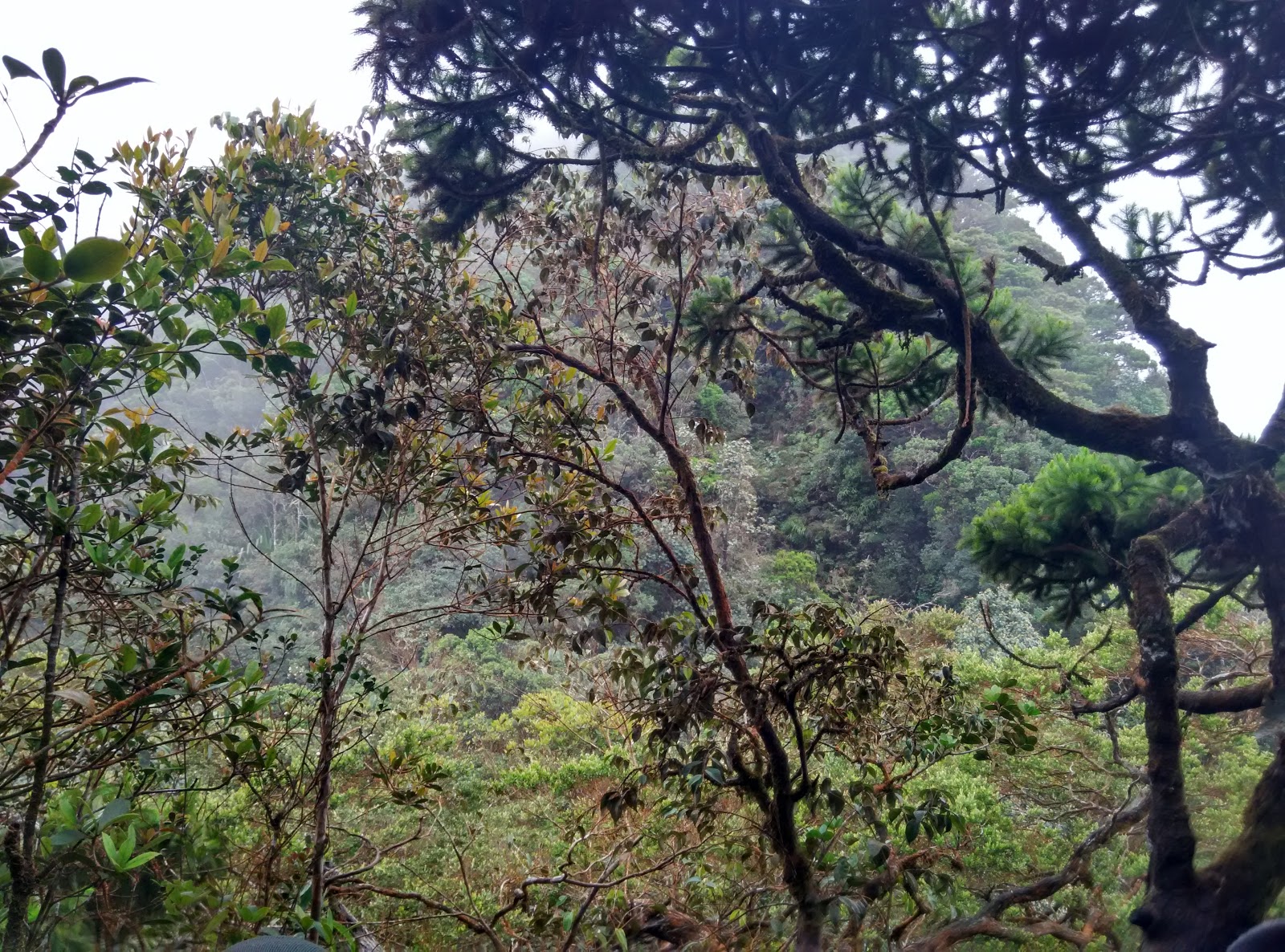 Live, where your heart finds life ツ: Gunung Rajah via KKB (Kuala Kubu ...