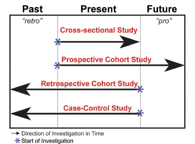 Big Fitness Project: Understanding Scientific Research [2 ...