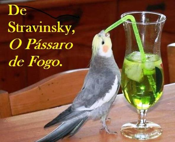 CHEbola: Charge foto e frase do dia