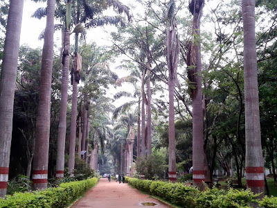 Trees, Plants & more: Karanji Lake - Mysore