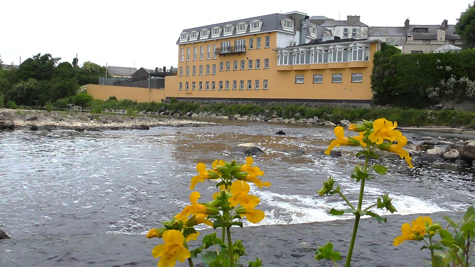 Listowel Connection: Listowel Children in the 1960s, A Holy Well and ...