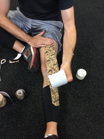 Move to Improve: A Dynamic Approach to ACL Rehabilitation and ...