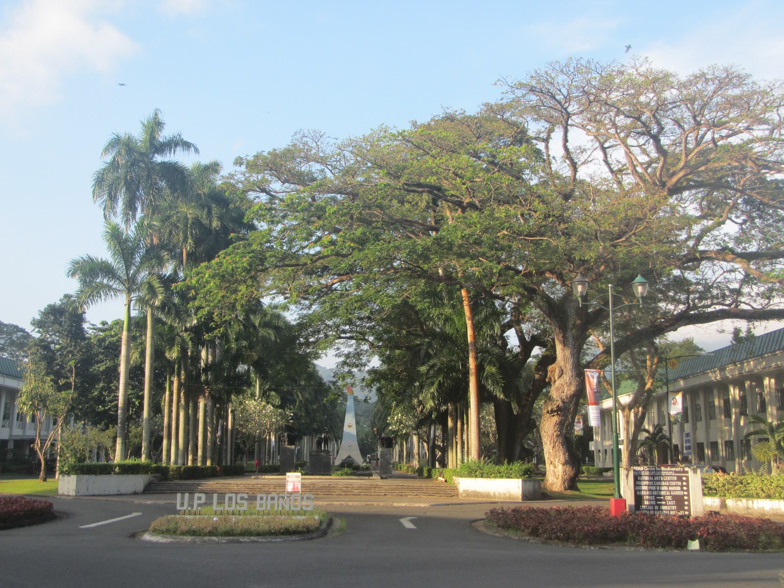 LEXICAL CROWN: A DAY CLIMB IN MOUNT MAKILING PEAK 2 FOR AS LOW AS P420