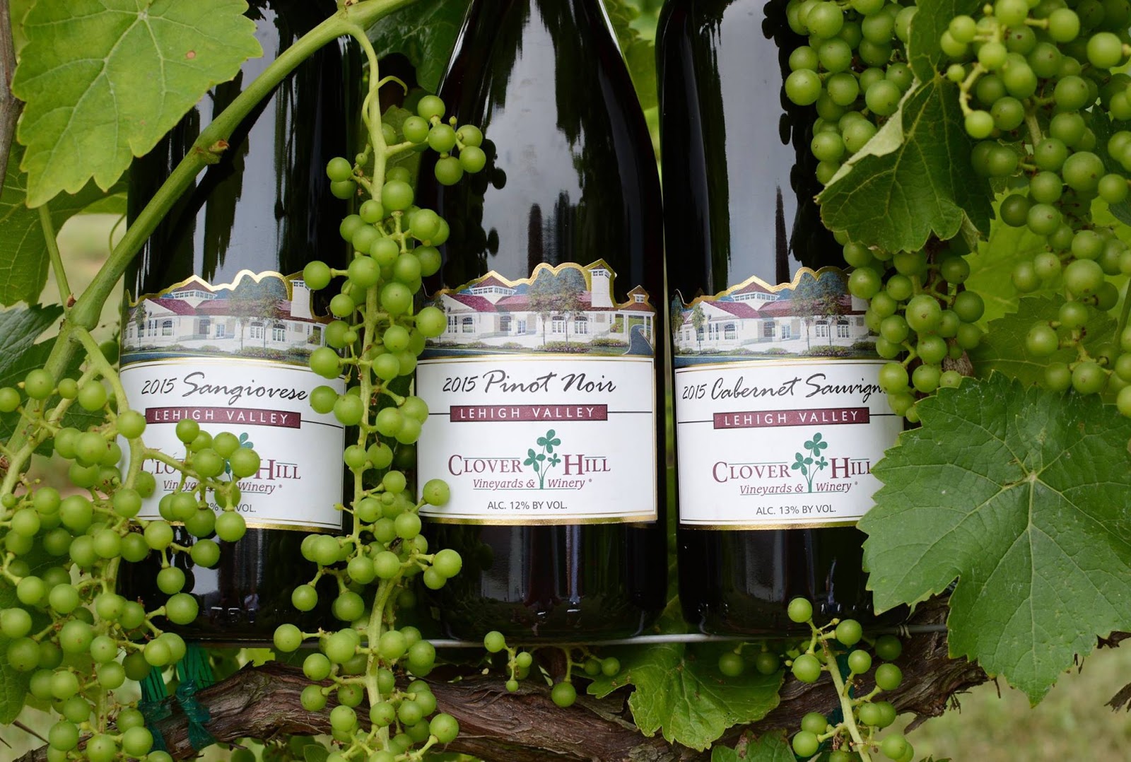Taste of the Trail: Six new wine releases at Clover Hill this summer