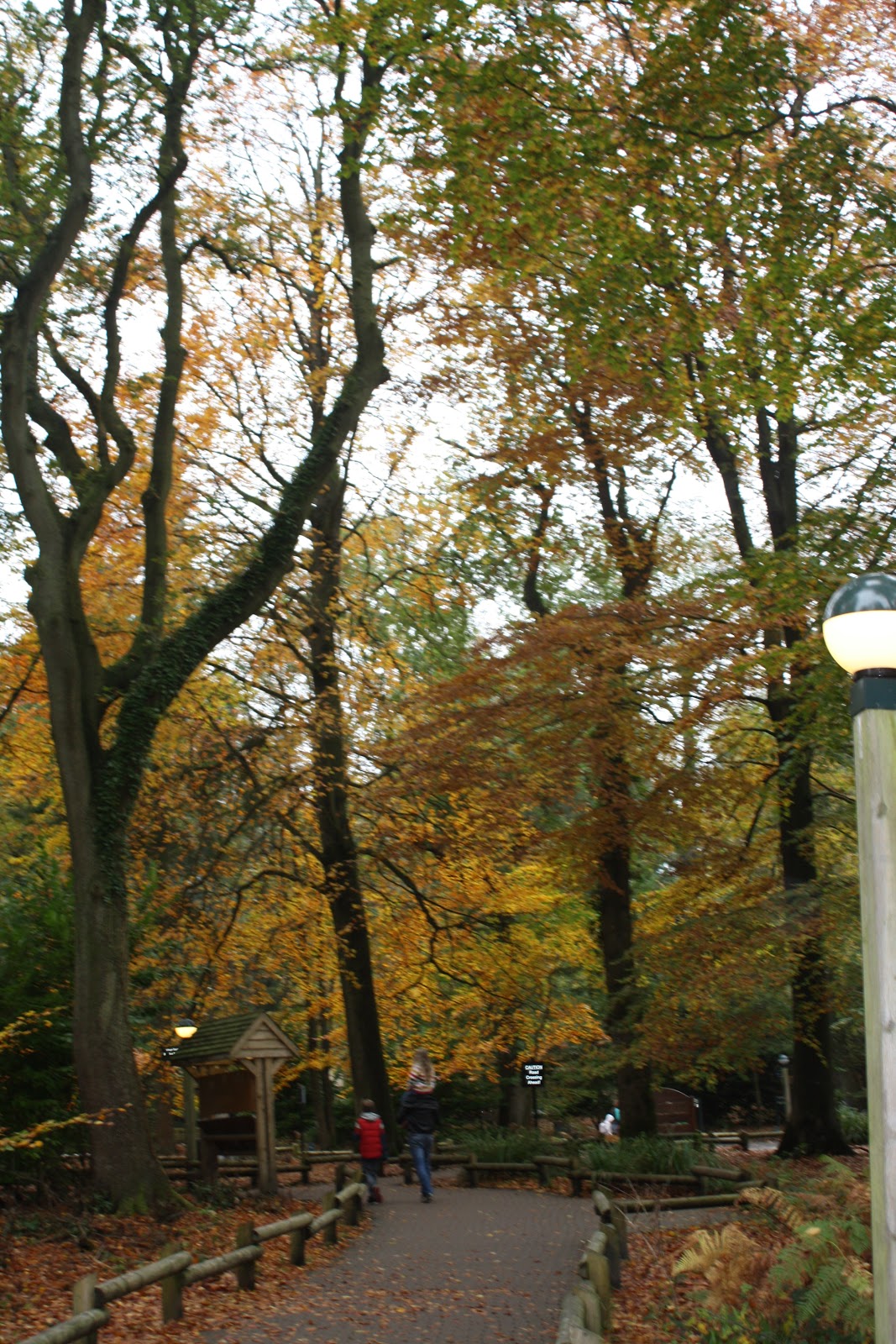 Center Parcs first impressions - Mum of Three World