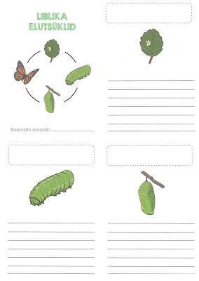 Algklassikud: Liblikad