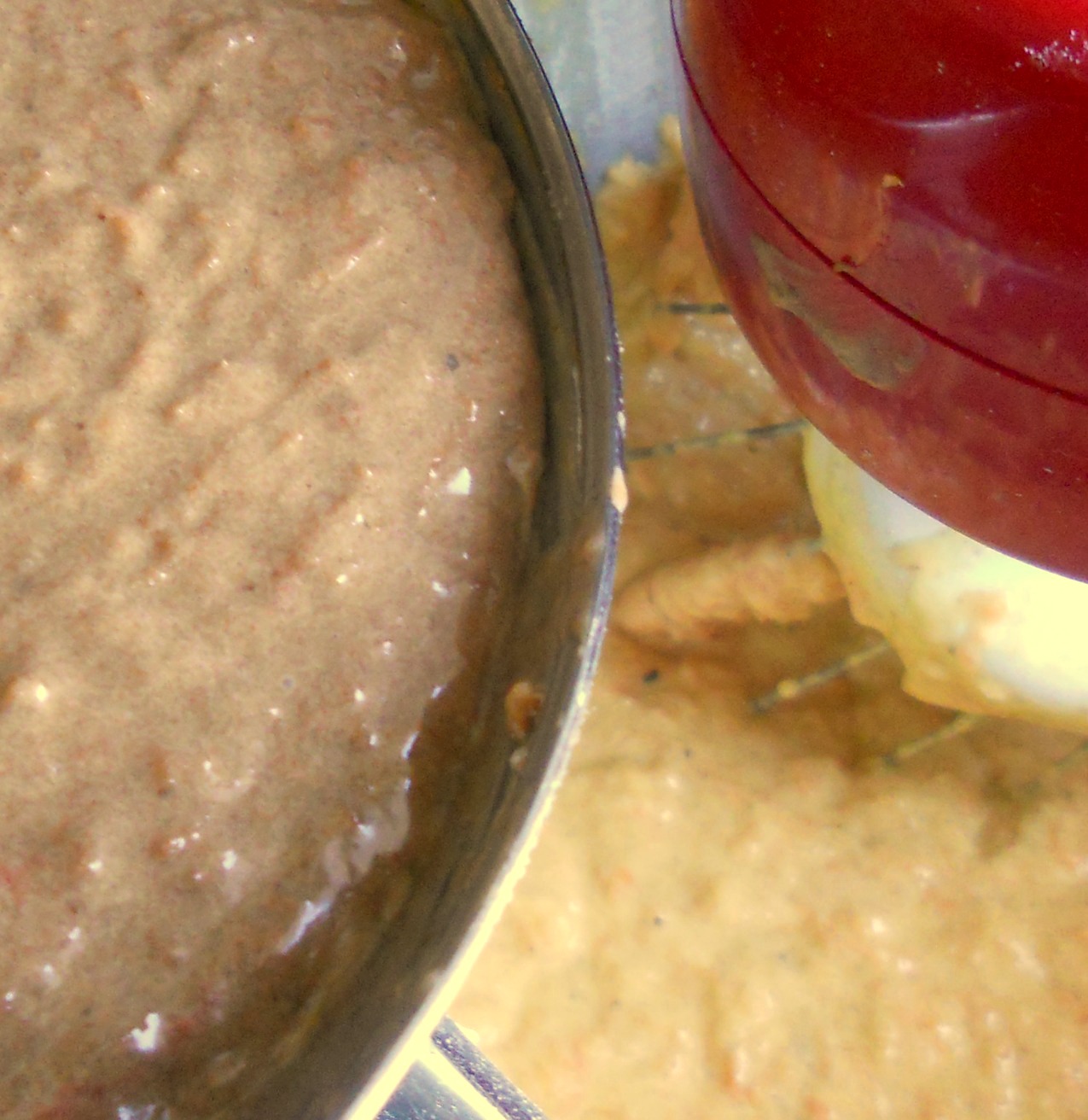 Efreet in the Oven: [Cupcake Portraits] Discworld Personalities: Carrot ...