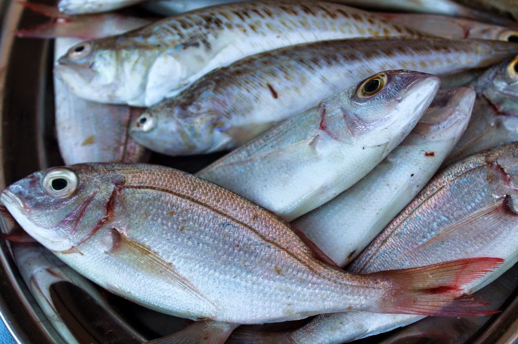 YOLANDA PINCHOLOS COOKING: Es tiempo de "raons"