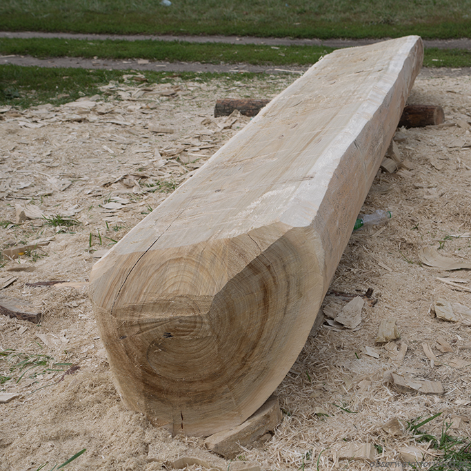 Obserwator Toruński: Jak zrobić dłubankę? (1890)