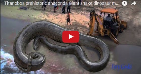 Titanoboa prehistoric anaconda Giant snake - MY NEWS TODAY