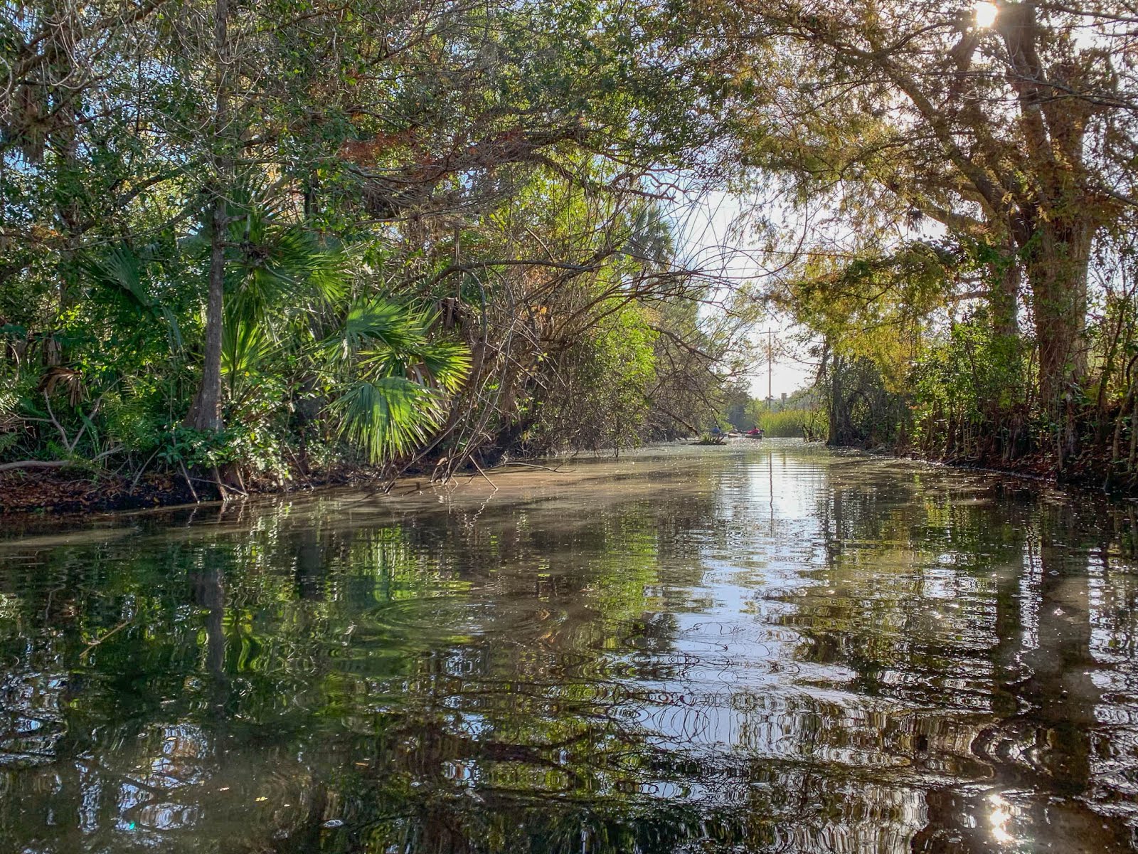 Paddling the Turner River in the Florida Everglades! - First Church of ...