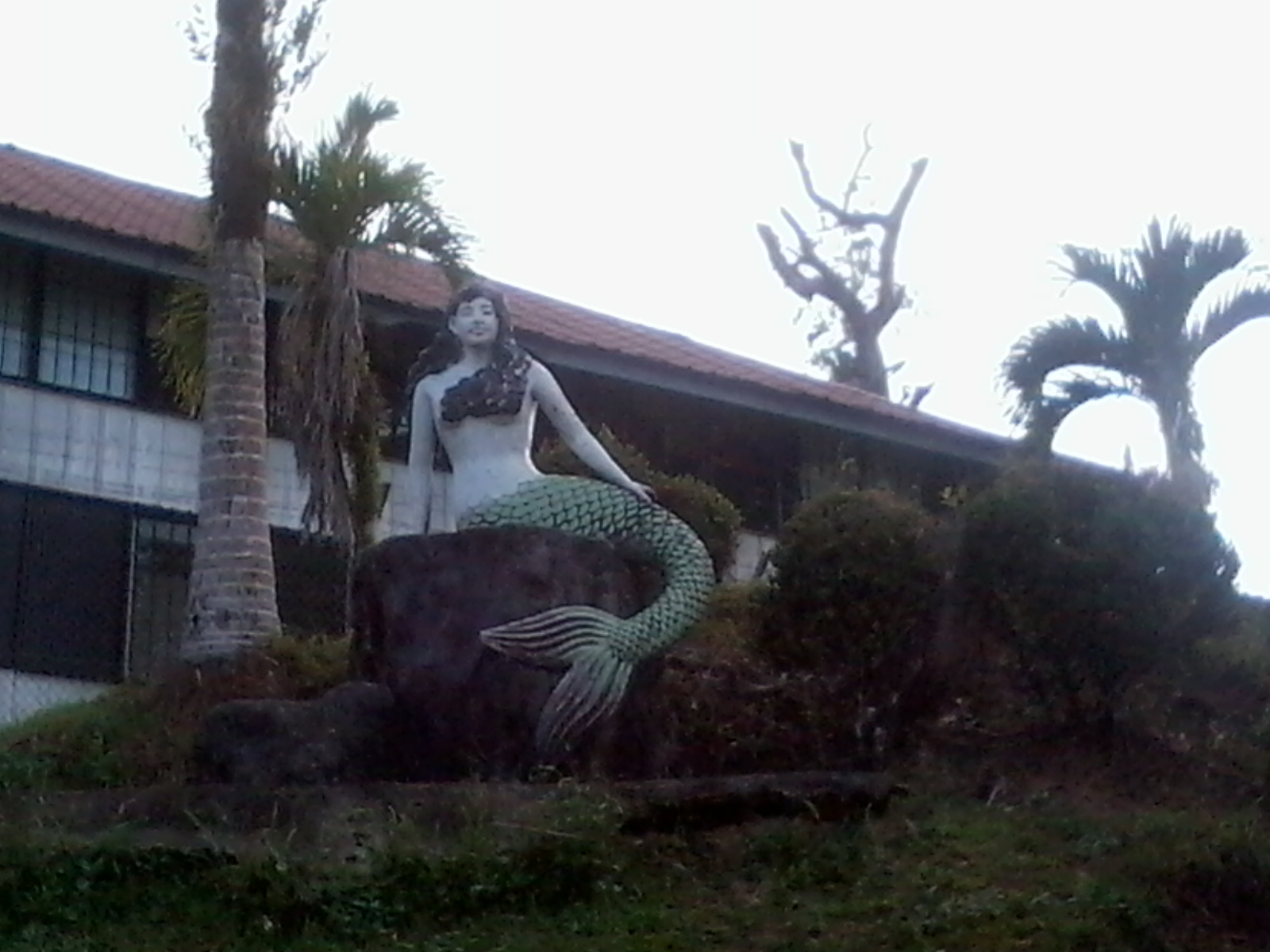 .: Catatan Perjalanan : Melihat Wajah Kanowit