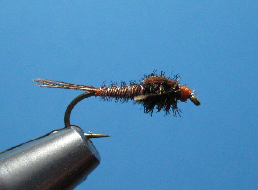 cp's fly fishing and fly tying: Pheasant Tail Nymph - The Many Colors