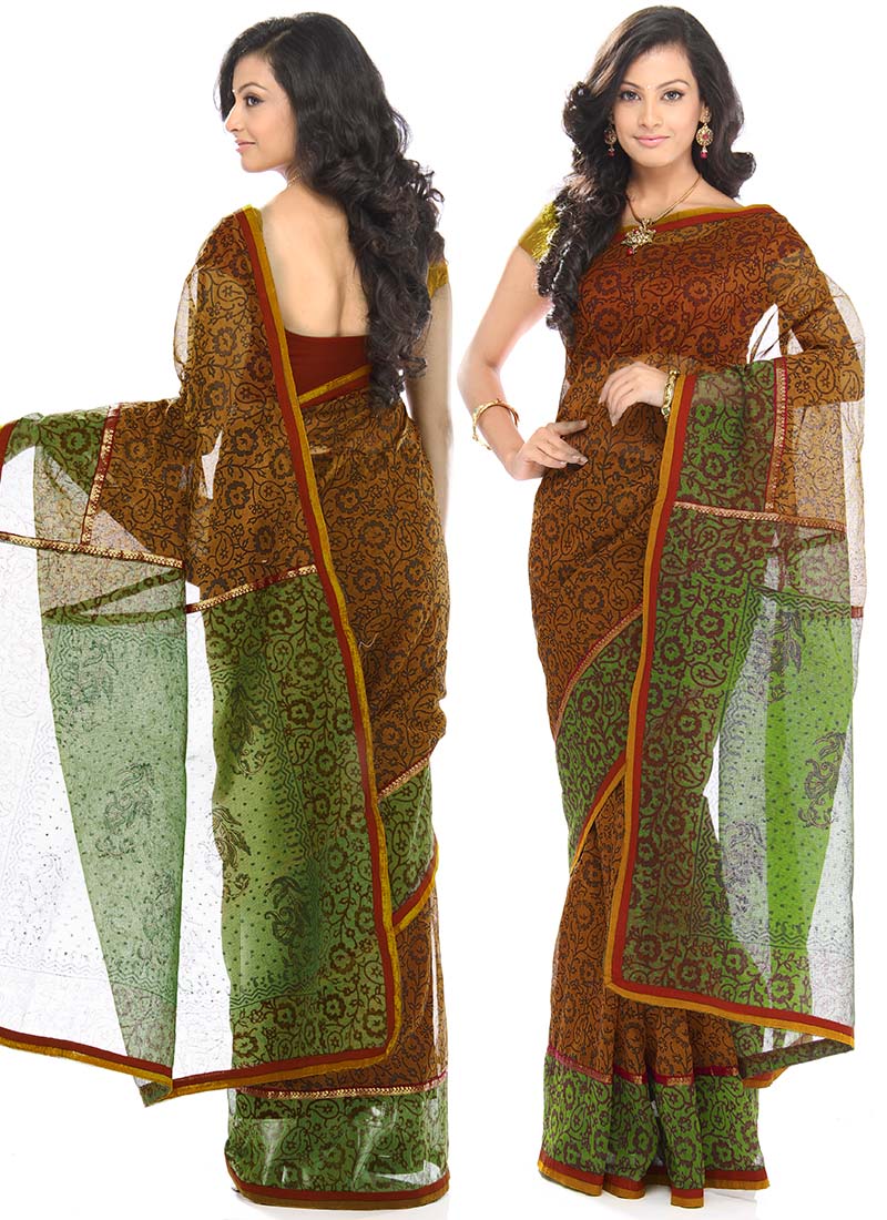 a saree a day: Sheer Sarees