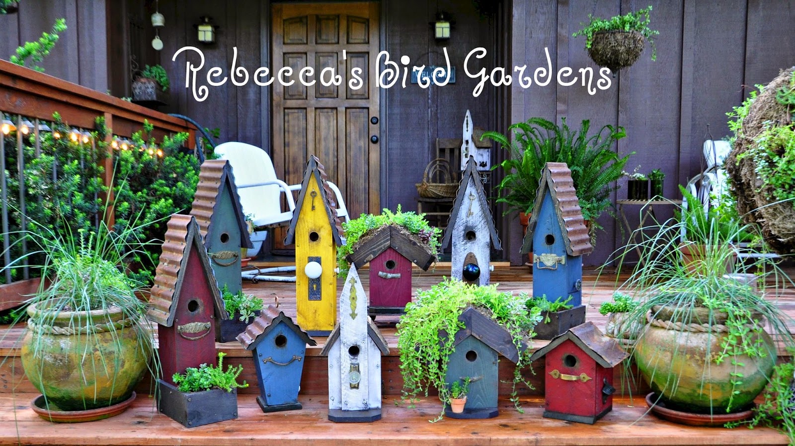 Rebecca's Bird Gardens: Products and Photos