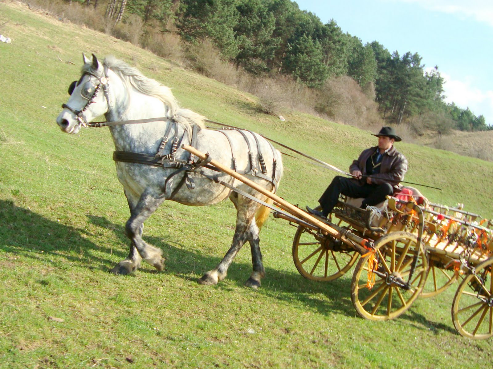 Nunta "Vis-a-Vis": Caruta tiganeasca