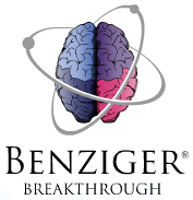 ...QUIEN SOY ADONDE VOY?: EL MODELO BENZIGER