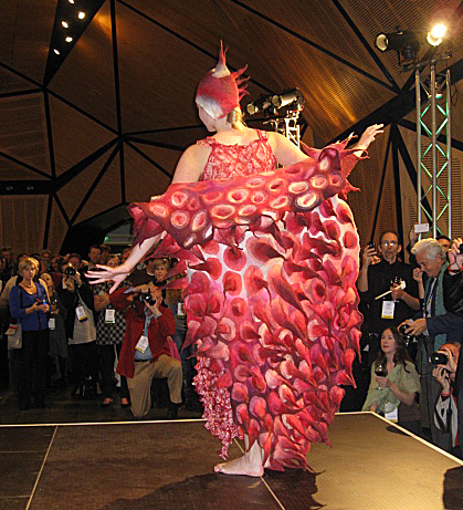 Adventurous: WOW Show in Wellington, NZ