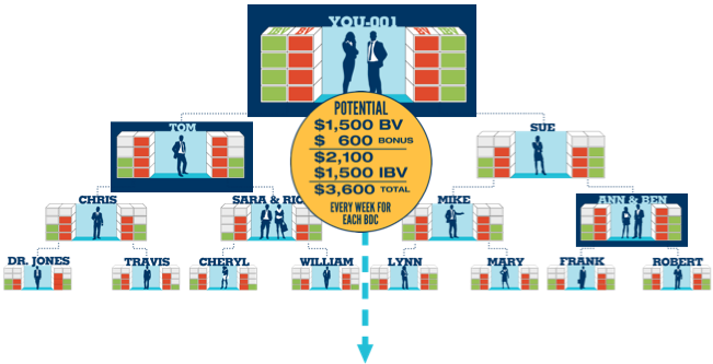 My Journey with Market America: Market America Compensation plan explained
