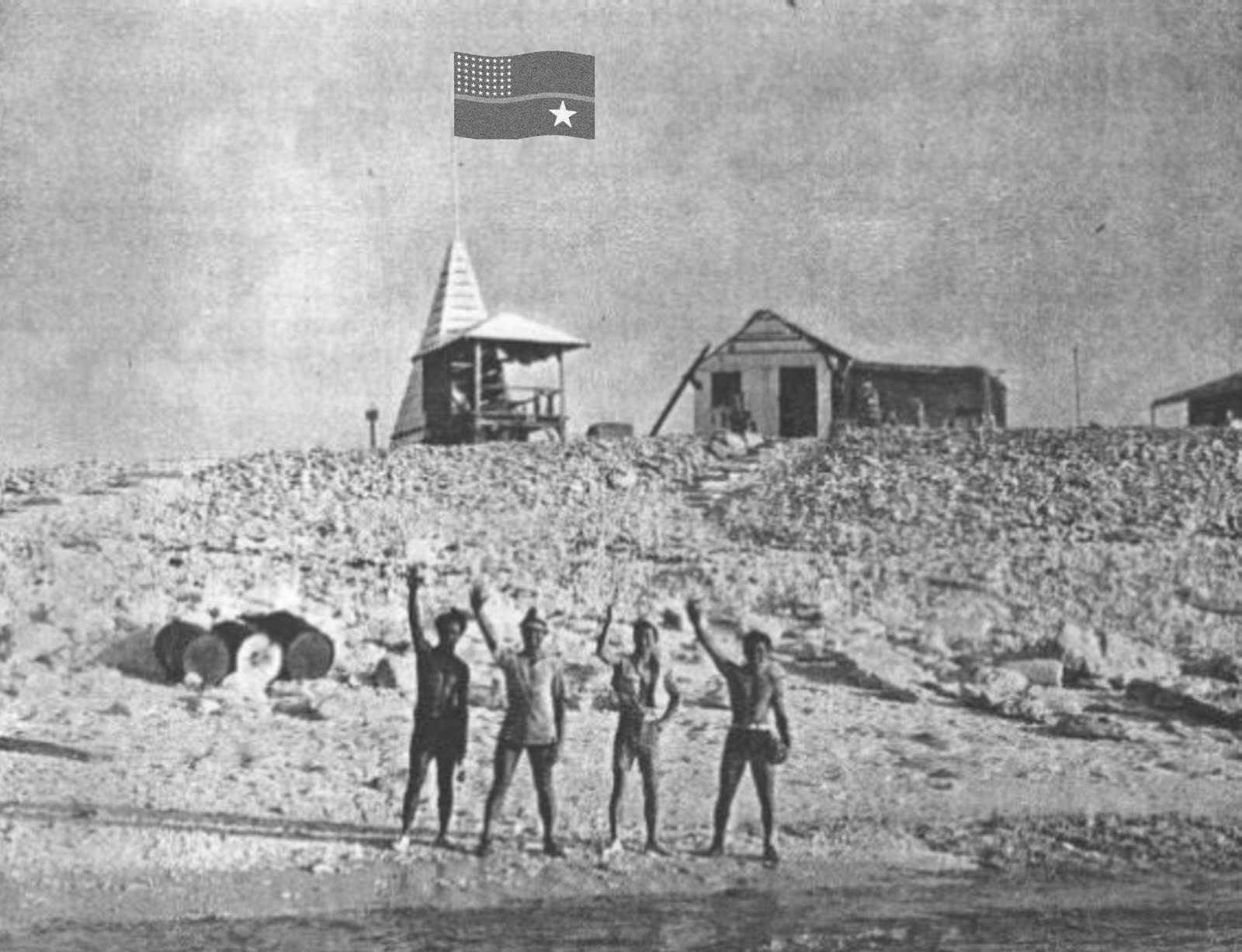 The Voice of Vexillology, Flags & Heraldry: Flag of Jarvis Island