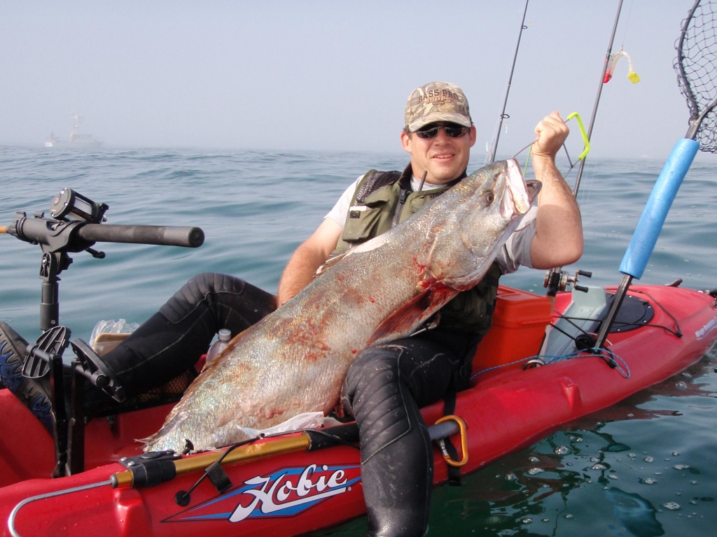 Headwaters Fishing Team: White Sea Bass Adventure!