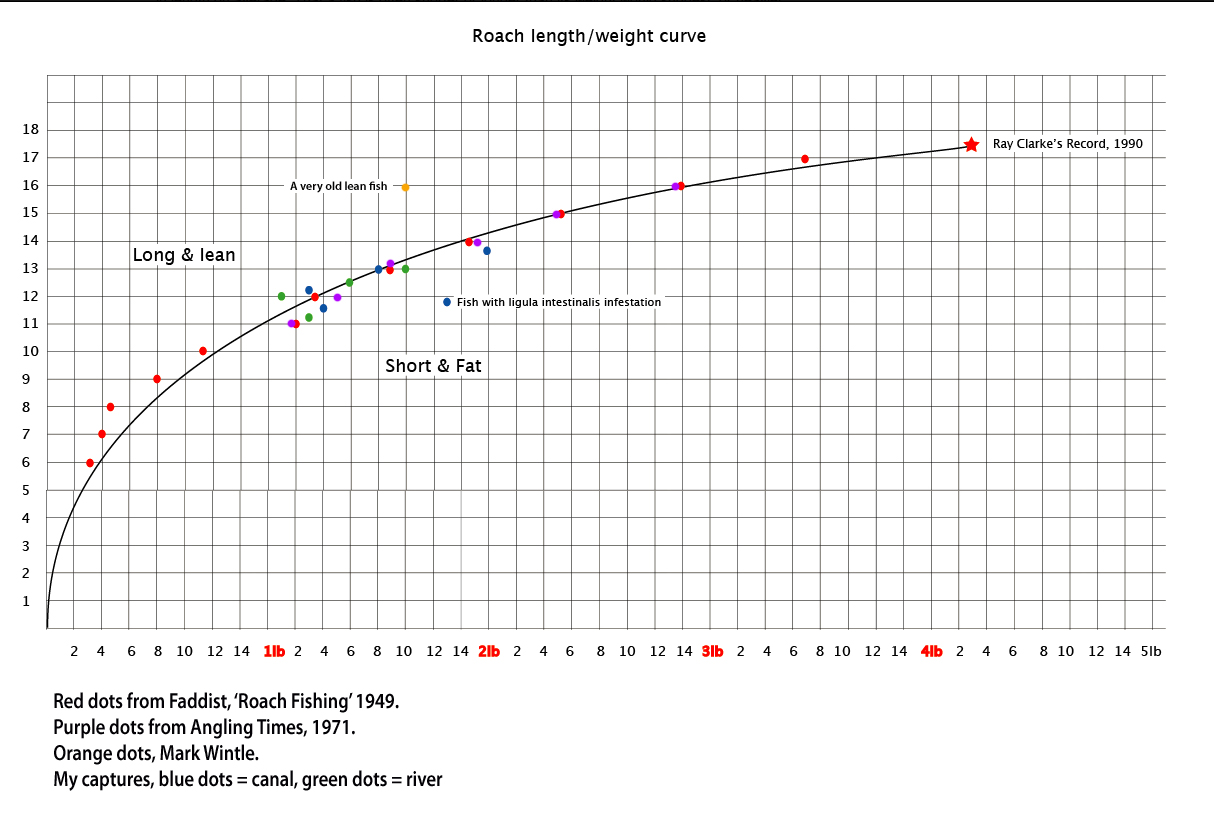 Idler's Quest: Weight/length Curves