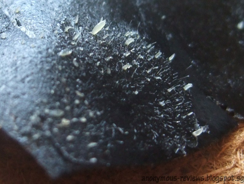 Biore Black Pore Pack Pore Strips | MyStyleBite