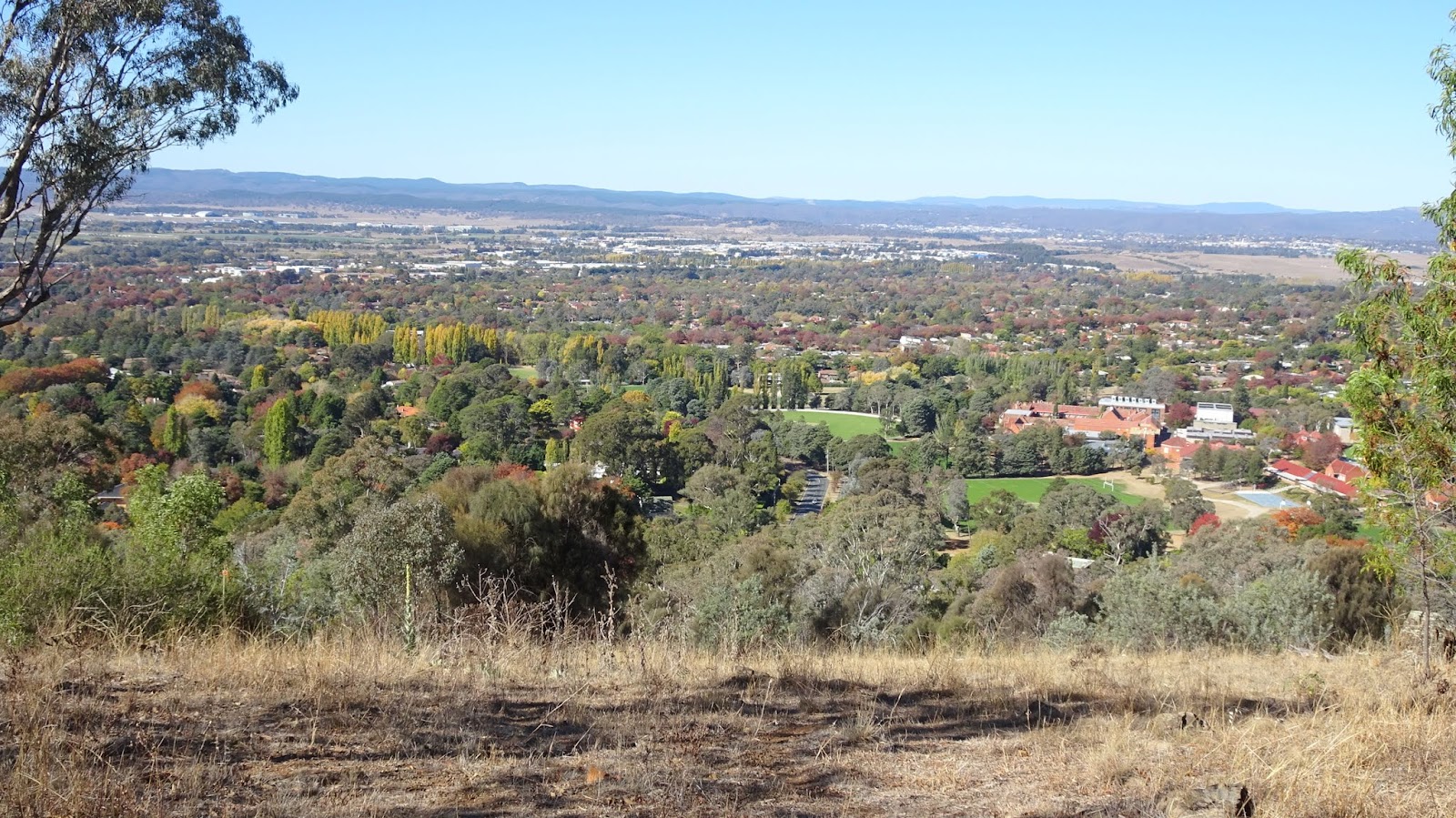 VK1DI's Blog: WWFF Red Hill Nature Reserve VKFF-0860